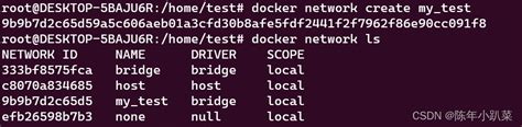 docker学习（十八、network介绍） ifconfig 的docker0 csdn博客