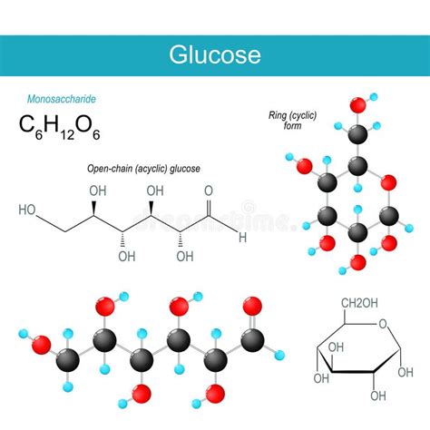 Glucose Molecule Structure