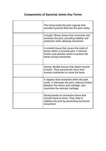 Ocr Gcse Pe 11a The Structure And Function Of The Skeletal System