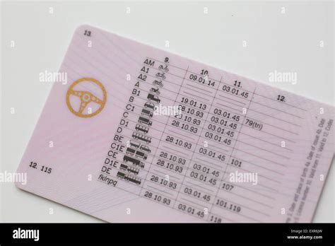 otro aislamiento perdón driving licence code rodillo parilla pimienta