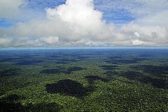 Brasil Wikipedia