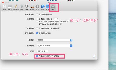 Selenium，启动safari浏览器，报错 You Must Enable The Allow Remote Automation