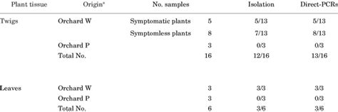 Pseudomonas Syringae Pv Actinidiae Psa Detection By Isolation And Download Table