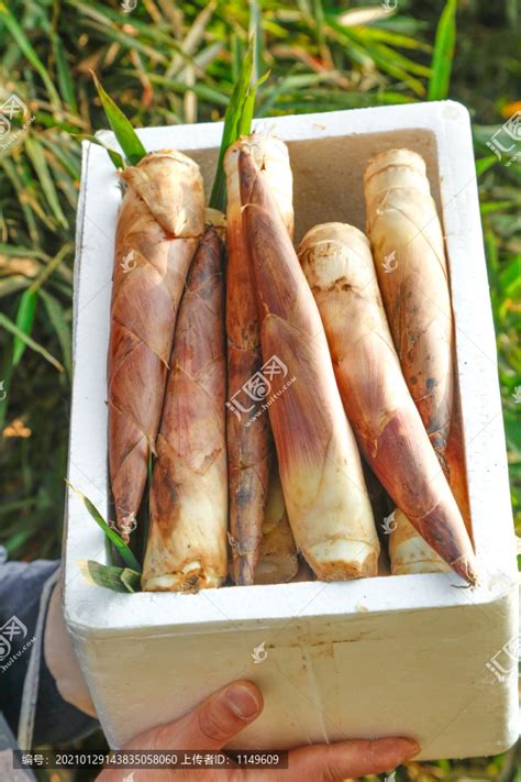 春雷笋 蔬菜水果 食品餐饮 摄影素材 汇图网www huitu