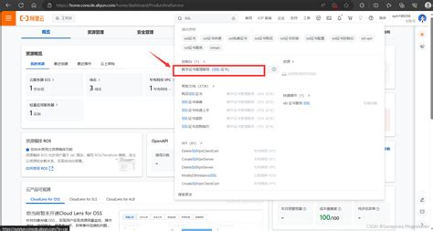 【域名解析】如何将域名解析服务器ip地址并绑定到特定端口申请ssl证书 域名解析ip csdn博客