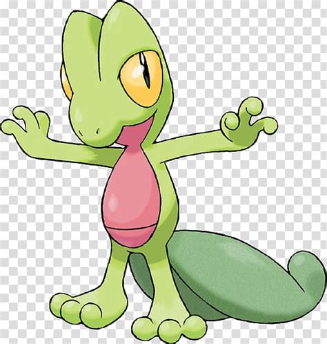 Pokémon Ruby and Sapphire Pokémon HeartGold and SoulSilver Pokémon Mystery Dungeon Blue Rescue