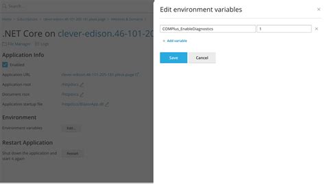 Net Application Hosting In Plesk Plesk