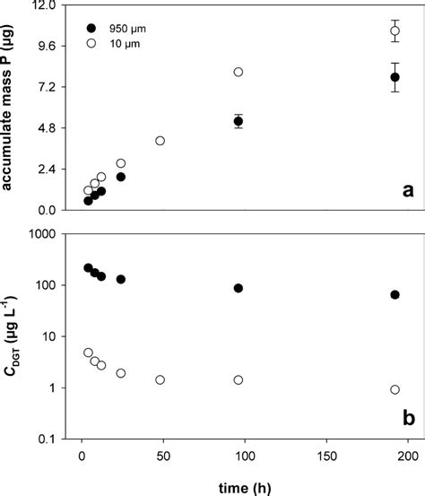 Effect Of Diffusion Layer Thickness On The Accumulated Solute Mass And Download Scientific