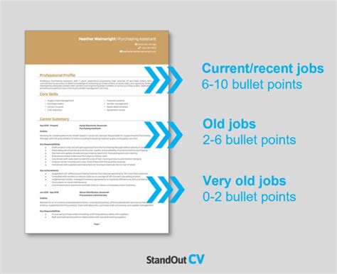 How To Use Bullet Points Per Job On Your CV How Many