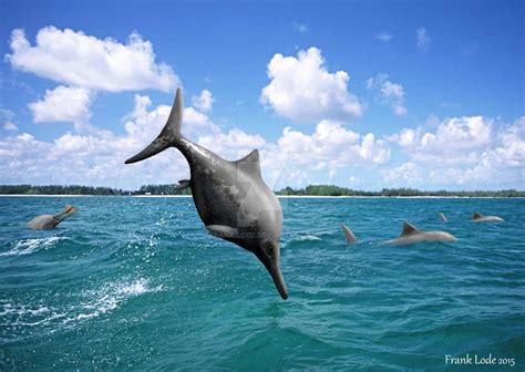 Ophthalmosaurus Facts And Pictures