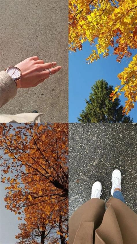 Bussrasertkaya Adlı Kullanıcının Hızlı Kaydedilenler Panosundaki Pin Doğal Fotoğrafçılık