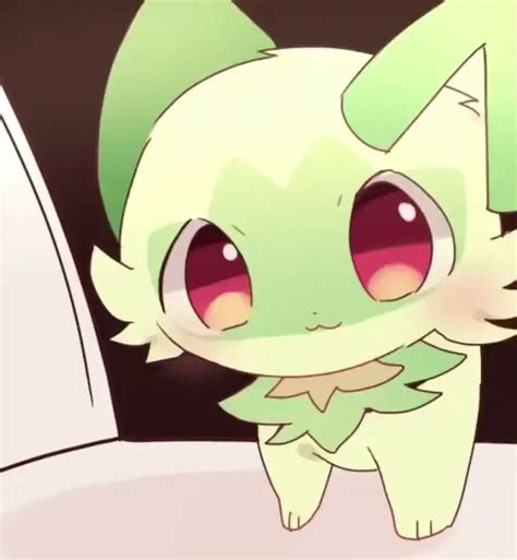 Sprigatito Pokemon Drawn By Yupo Danbooru