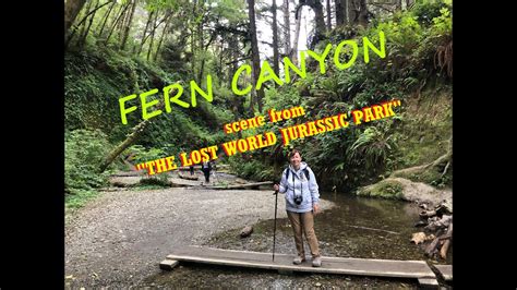14 Fern Canyon Hike Scene From The Lost World Jurassic Park