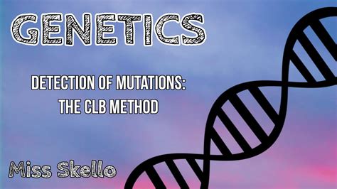 Clb Method For Detection Of Mutations Sex Linked Recessive Lethal