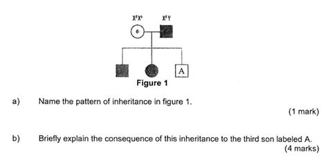 Solved A Name The Pattern Of Inheritance In Figure Chegg