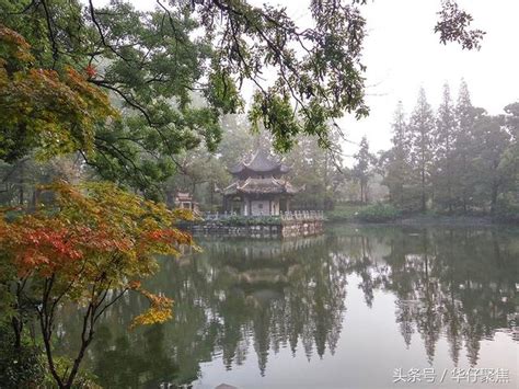初秋的雨後清晨探訪習家池據說是最早的私家園林 每日頭條