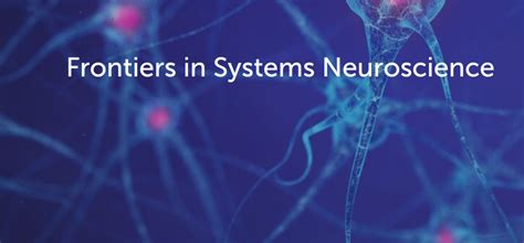 Progress In Brain Computer Interface Challenges And Opportunities My Wordpress