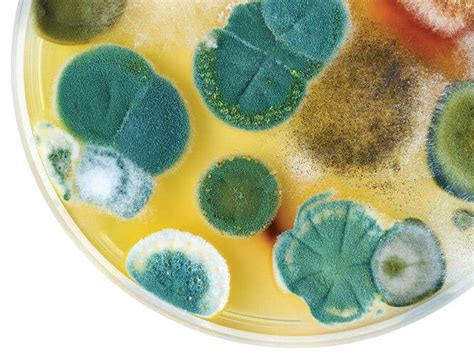 Solved Ptc Element Temperature Page 2 General Electronics