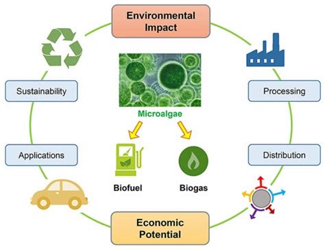 Environmental Science And Renewable Energy Algae