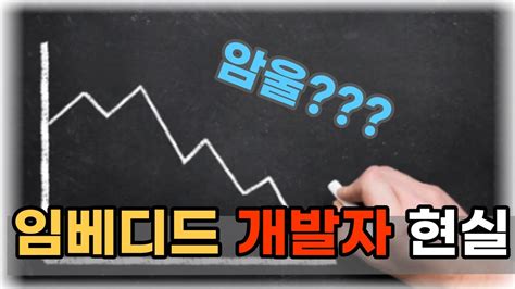 안타까운 우리나라 임베디드 개발자 현실 낱낱히 파헤쳐 드립니다 Youtube