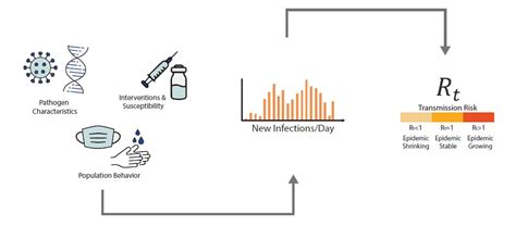 Behind The Model Cdcs Tools To Assess Epidemic Trends Cfa Behind