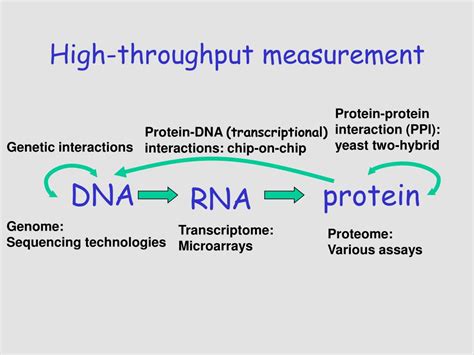 Ppt Computational Systems Biology An Introduction Powerpoint Presentation Id 2410104
