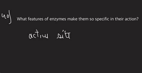 Which Type S Of Enzyme Specificity Are Best Accounted For By The Induced Fit Model Of Enzyme