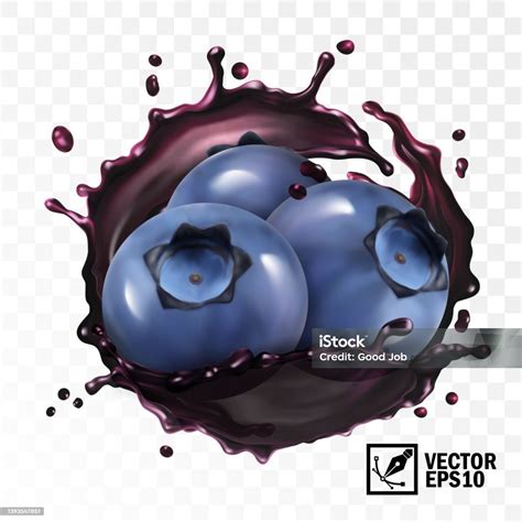 3d 현실적인 블루 베리 세트 나뭇잎이있는 열매 더미 떨어지는 빌베리 열매가있는 주스 튀김 벡터에 대한 스톡 벡터 아트 및 기타 이미지 Istock