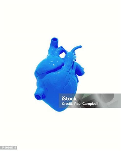 파란 인간의 심장 해부학 흰색 배경 반짝이는 젖은 혈액 기관 해부학 과학 그래픽 다이어그램 0명에 대한 스톡 사진 및 기타