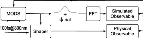 Schematic Of The Algorithm Operation In The Optimization Loop In Both