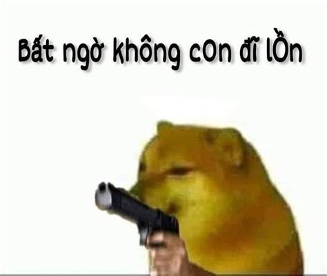 Ghim Của Rau Răm Trên Meme Chuyện Cười Hài Hước Ảnh Vui