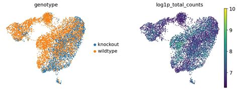 Hands On Filter Plot And Explore Single Cell RNA Seq Data With Scanpy