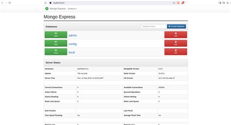 🚀 Set Up Mongodb With Mongo Express Using Docker For Local Development