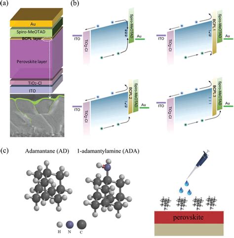 a schematic device structure of psc with a bcpl b pscs without and