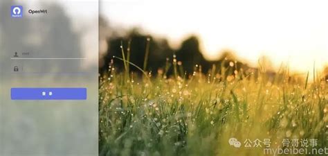 Getting Started With Raspberry Pi 4b And Openwrt A Comprehensive Guide