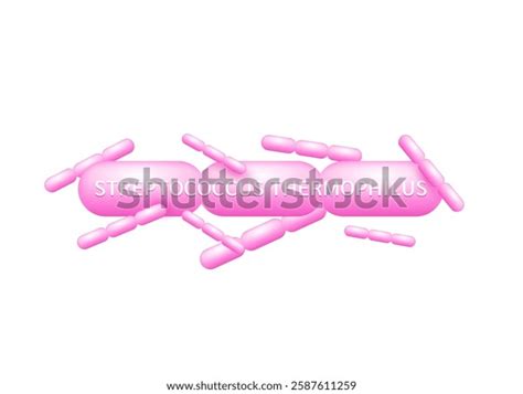 Probiotics Bacteria Pink Streptococcus Thermophilus Icon Stock Vector