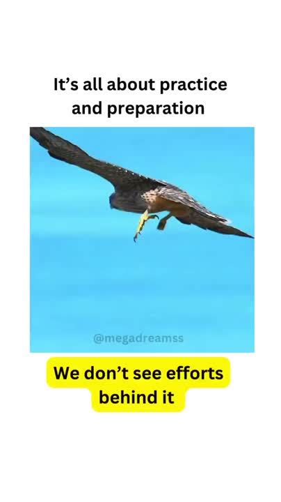 Shyam Kumar On Linkedin This Shows Example Of Practice Is Need To All