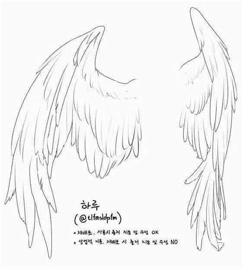 翅膀参考