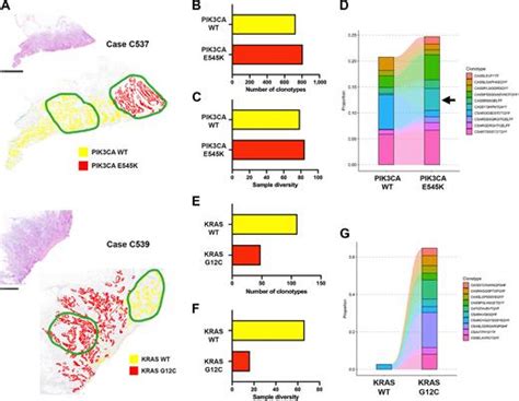 Fume Tcrseq Enables Sensitive And Accurate Sequencing Of The T Cell Receptor From Limited Input
