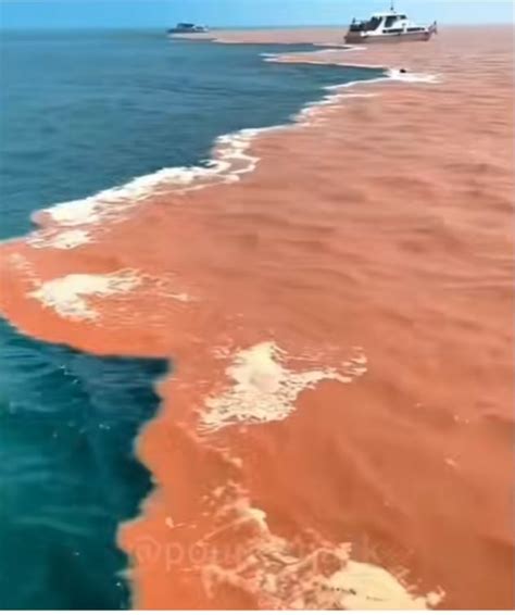 태평양대서양 경계 지식in