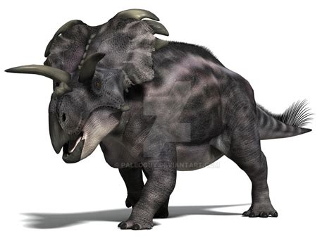 Medusaceratops By Paleoguy On Deviantart