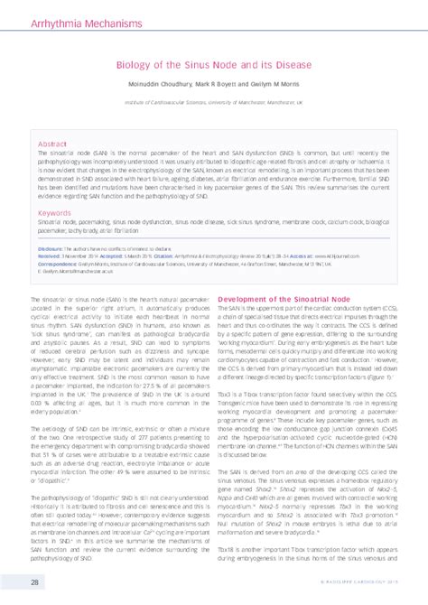 Pdf Biology Of The Sinus Node And Its Disease