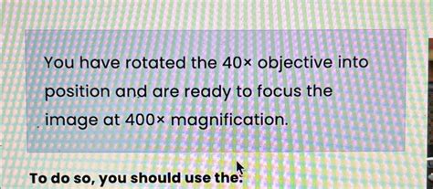 Solved You Have Rotated The 40× ﻿objective Into Position And