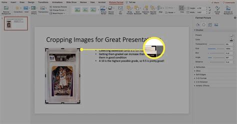 How To Crop A Picture In Powerpoint