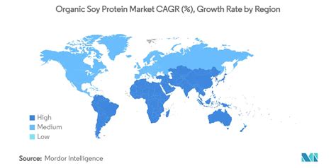 유기농 대두 단백질 시장 규모 전망 점유율 분석 및 2030년 성장