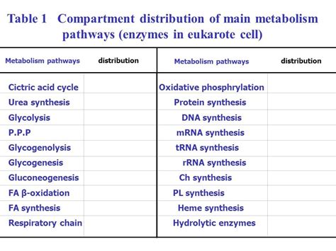 Metabolic Pathways Location Diagram Quizlet
