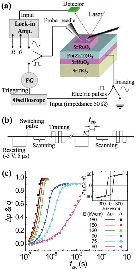 Figure 1 From Observation Of Inhomogeneous Domain Nucleation In