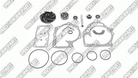 270791 1 Repair Kits For Oil And Fuel Pumps Proenginepart