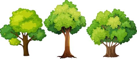 Free Tree Trimming Vectors Images In AI EPS Format