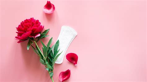 World Menstrual Hygiene Day 2024 Common Menstrual Hygiene Tips Every
